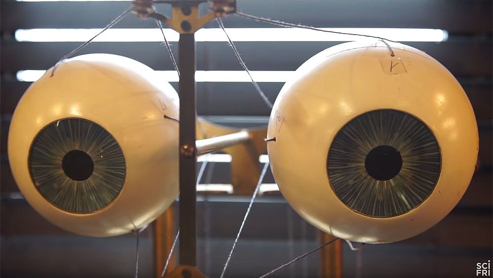 Breakthroughs, quackery and strange beauty: the afterlife of outmoded ...