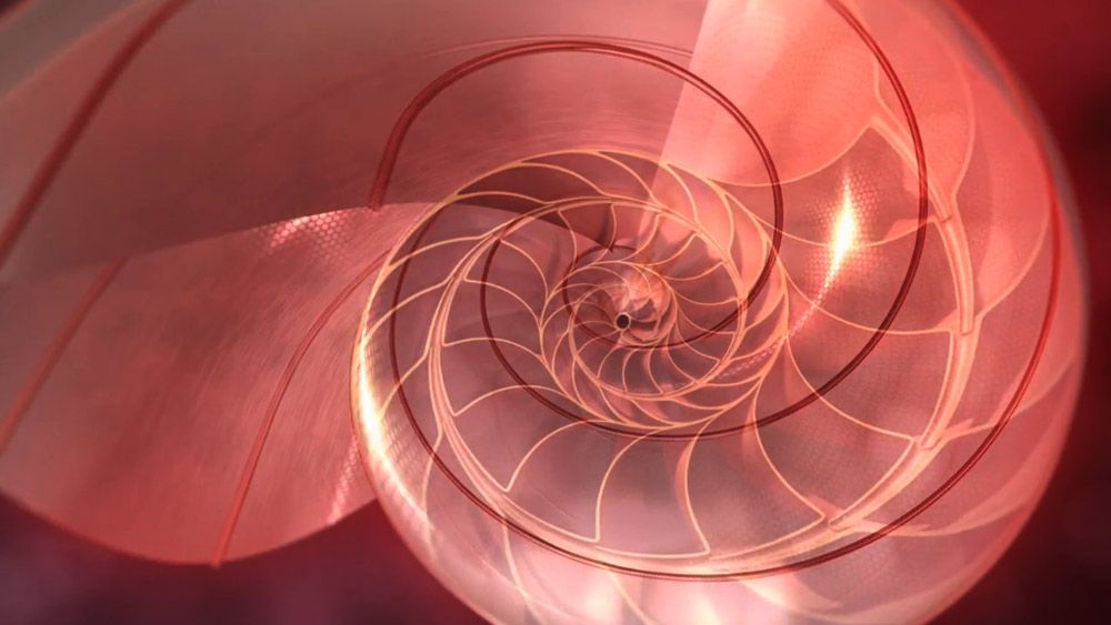 The elegance of mathematics meets the breathtaking complexity of nature ...
